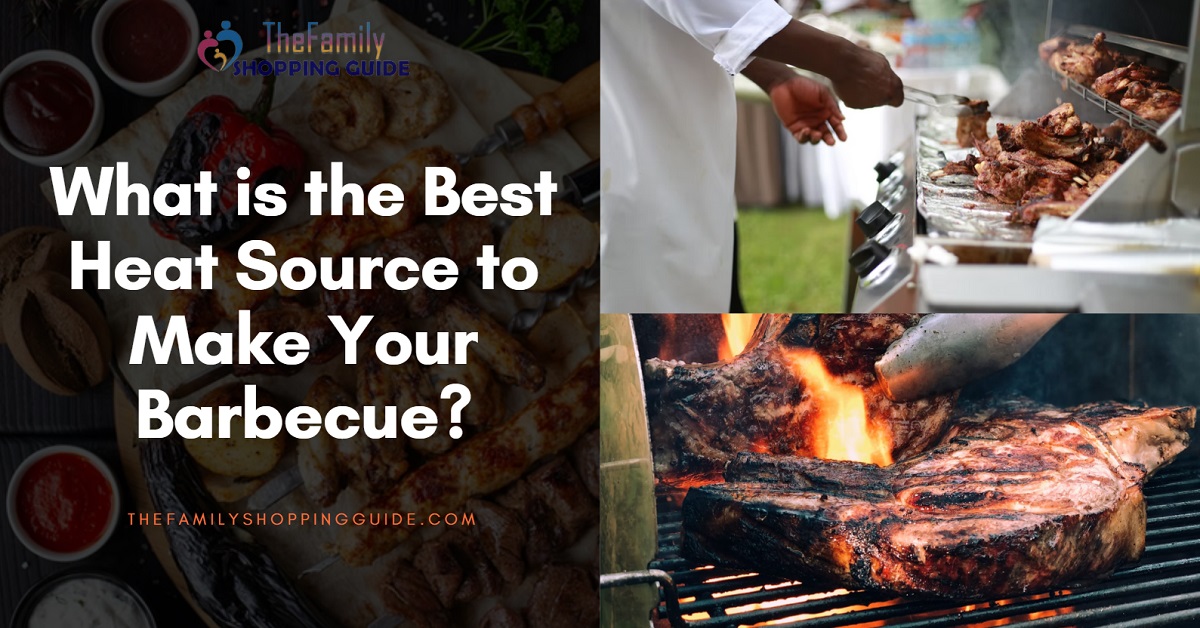 What is the Best Heat Source to Barbecue Your Food at Home? - The ...